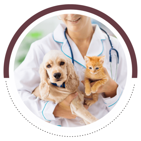 Best Veterinary Hospital In Helotes, TX | Hooves & Paws Vet